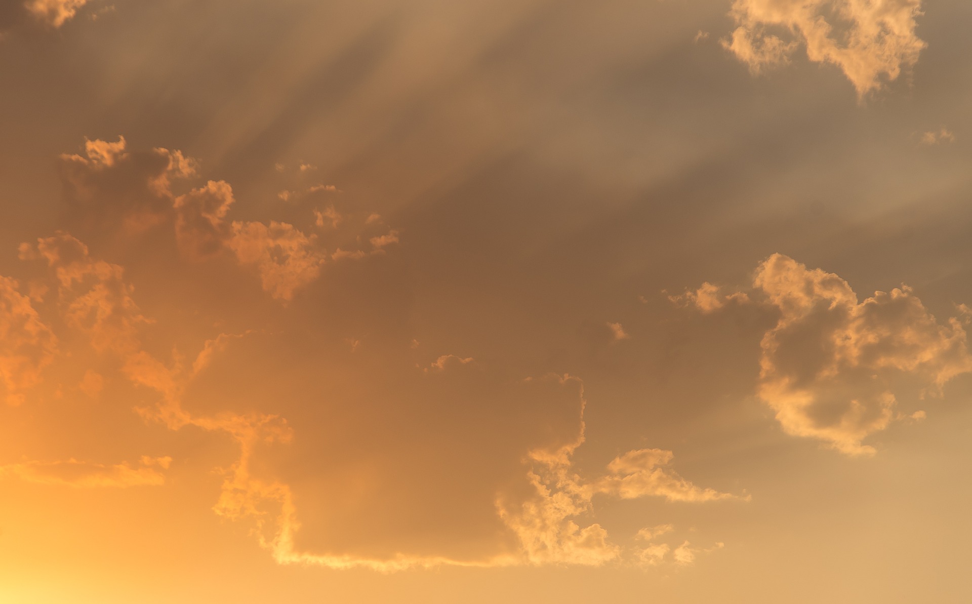 NSW and QLD Linehaul Services Resume - AirRoad Group | Express freight ...